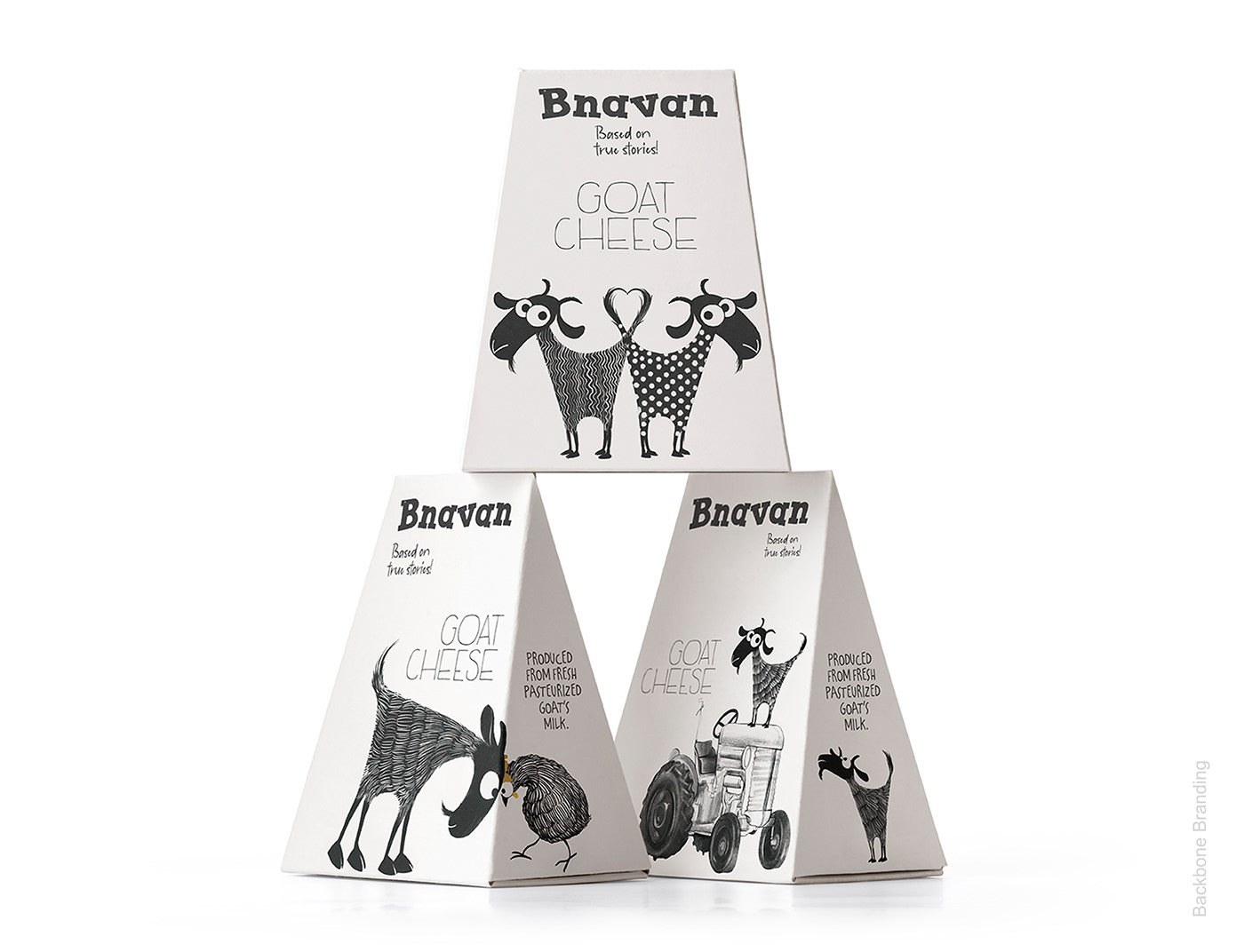 Custom Bnavan Packaging Design for Animal Brands