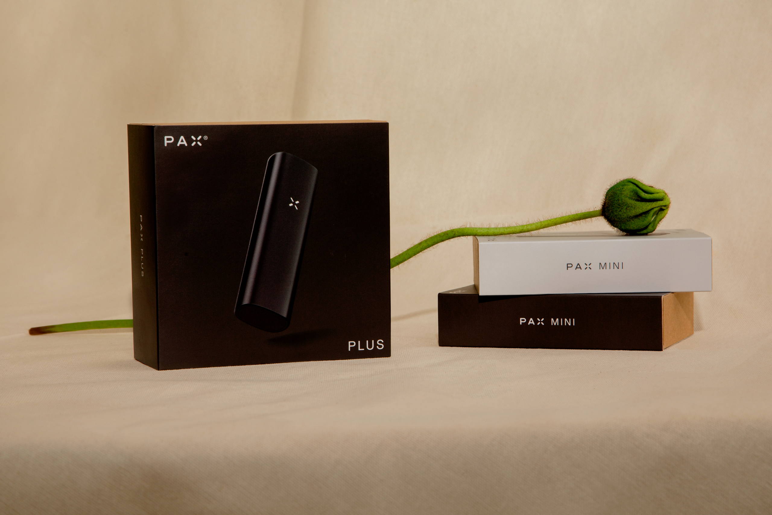Custom PAX Cigarette Packaging Boxes!